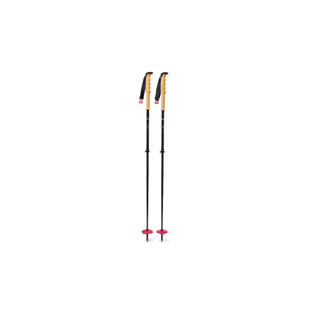 Poles – DPS Skis Poles – DPS Skis