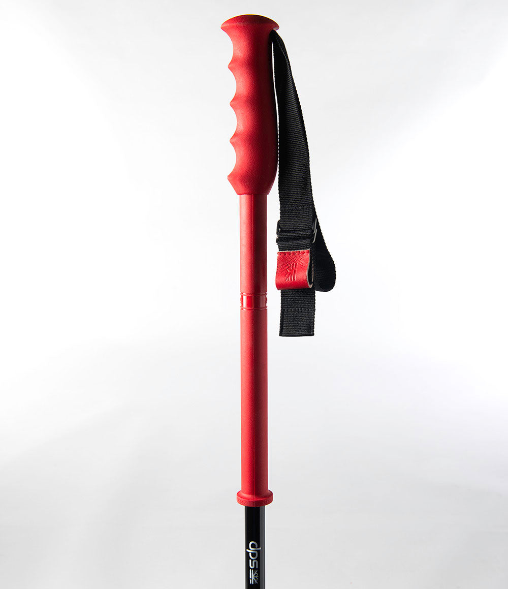 Extendable Pole – DPS Skis